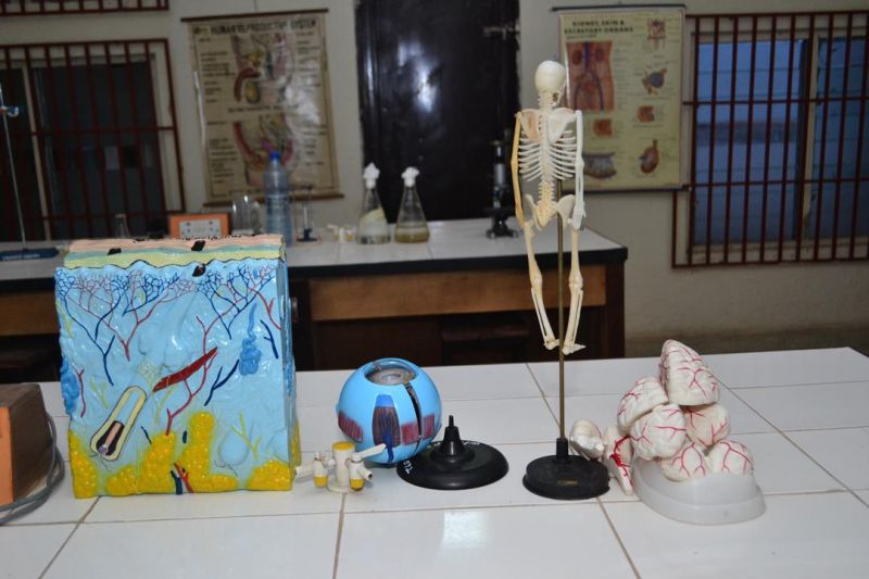 Gallery - Hezekiah University Umudi